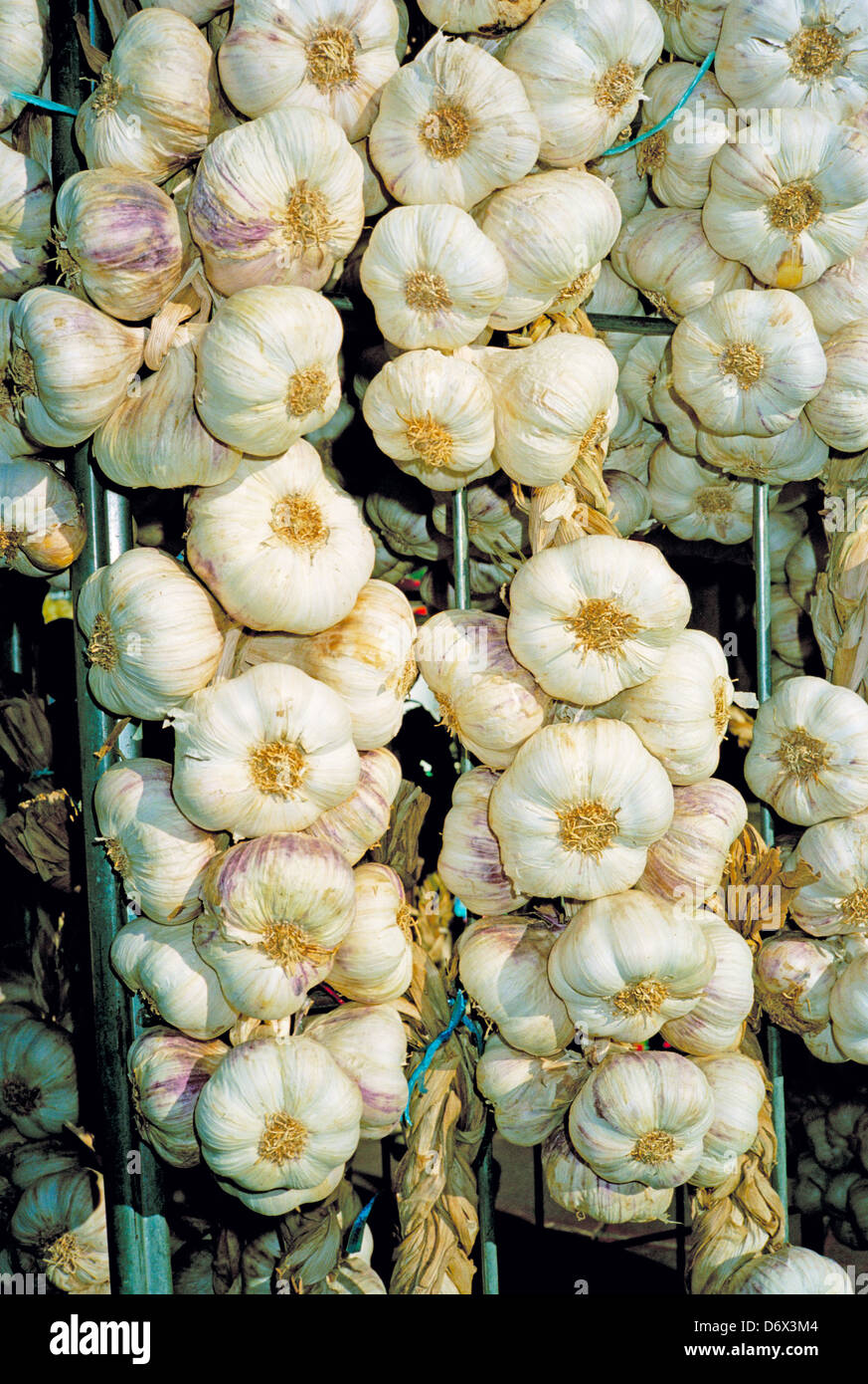 Garlic bulbs strings onions vegetable aromatic france herbs herb hi-res ...