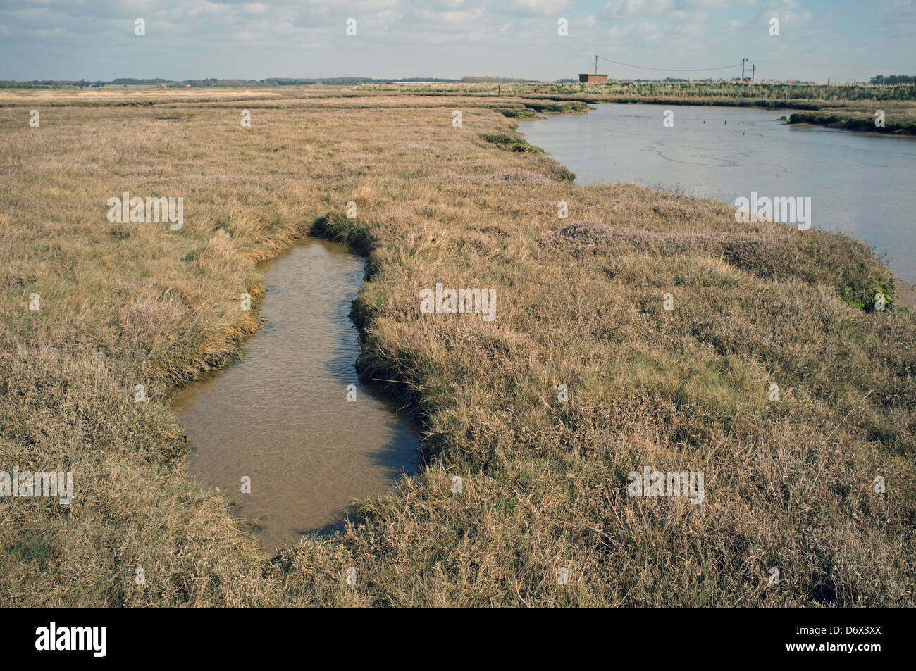Salt marshes beside the river Deben Stock Photo - Alamy