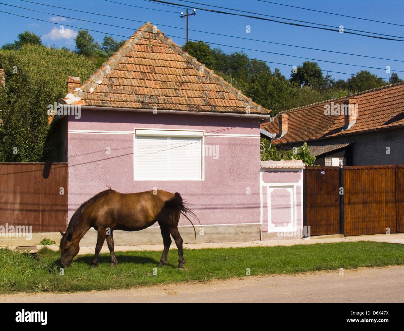 europe, romania, transylvania, bazna, the village Stock Photo - Alamy