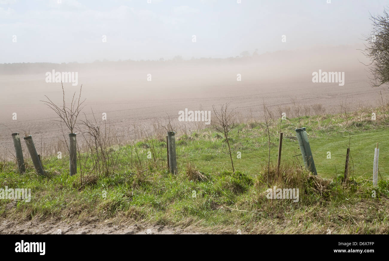 Soil erosion wind hi-res stock photography and images - Alamy