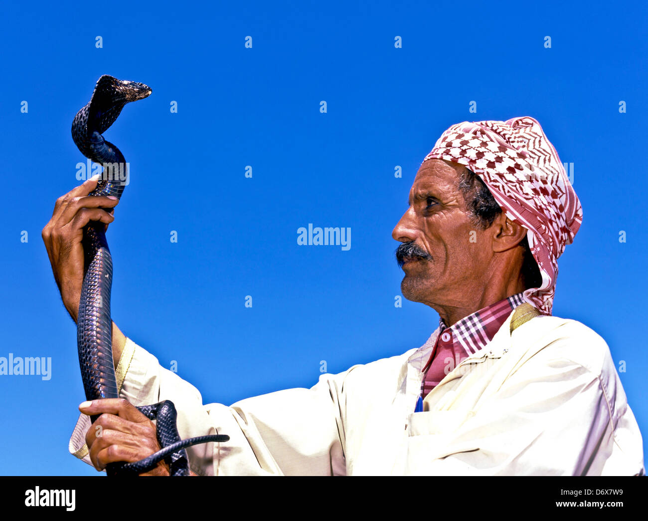 8610. Snake Charmer, Marrakesh, Morocco Stock Photo - Alamy