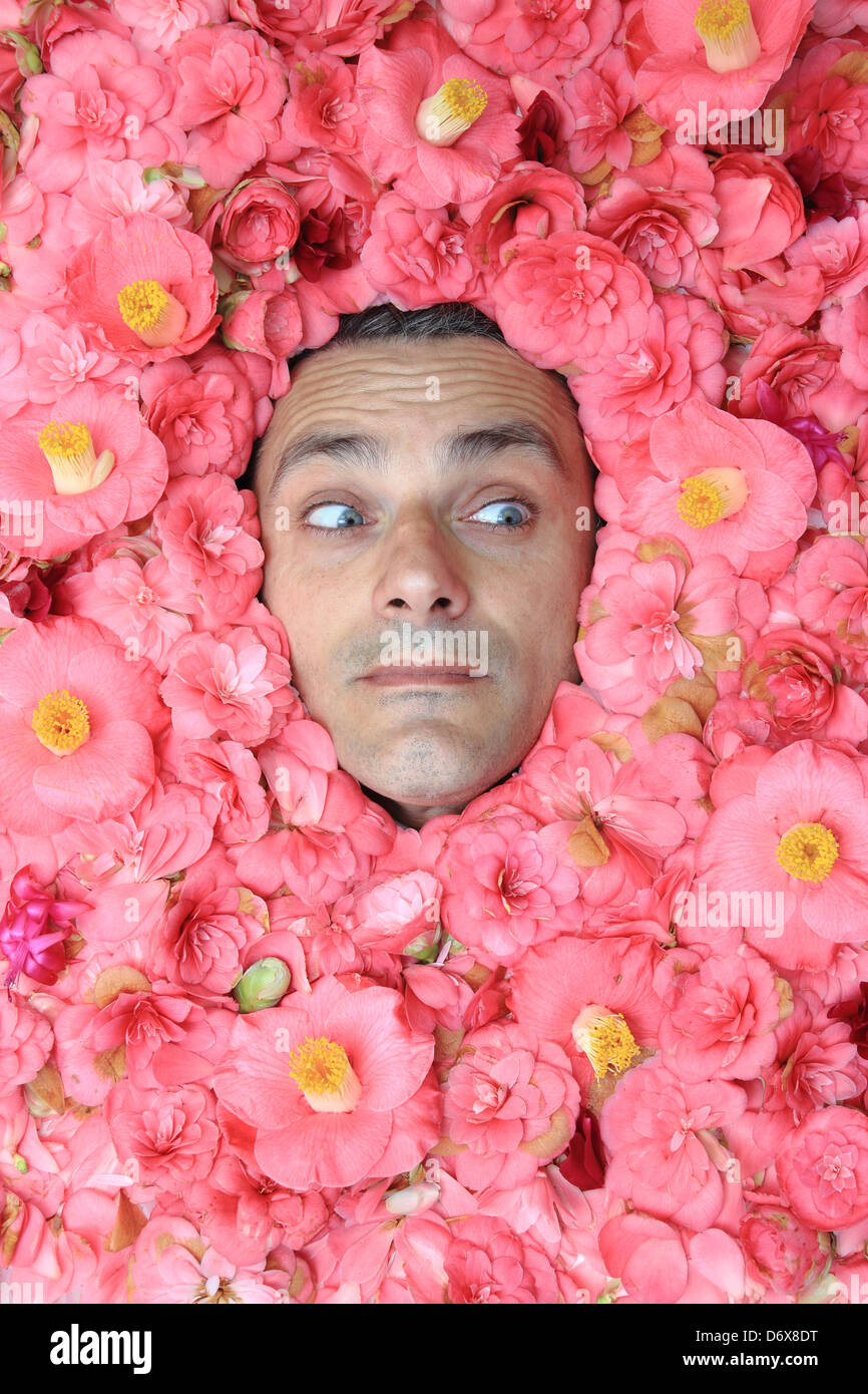 man posing behind a pink flowers background Stock Photo - Alamy