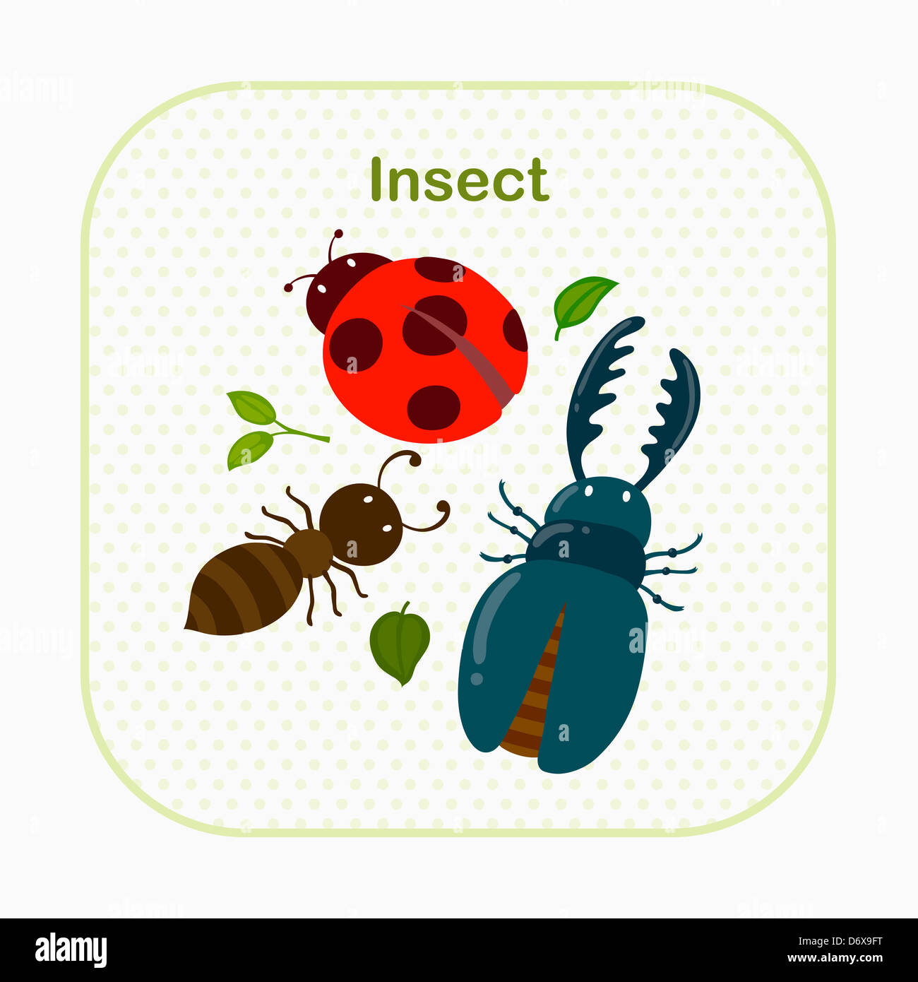 illustration image of insect Stock Photo - Alamy
