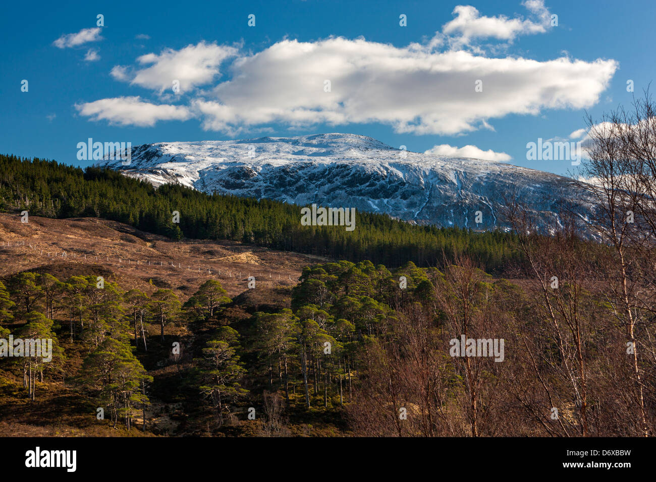 View over glen towards glencarron hi-res stock photography and images ...