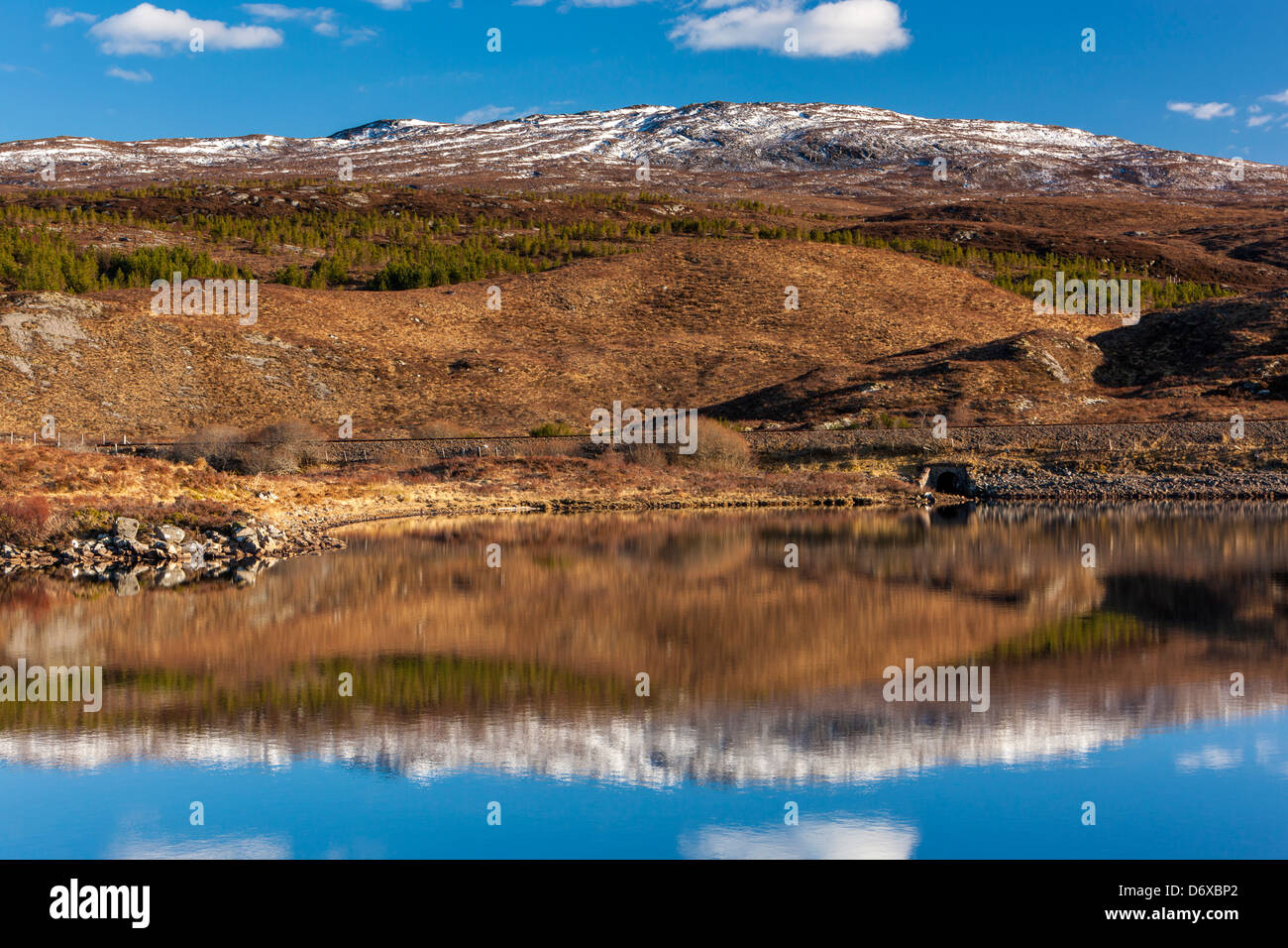 Strathconon forest hi-res stock photography and images - Alamy