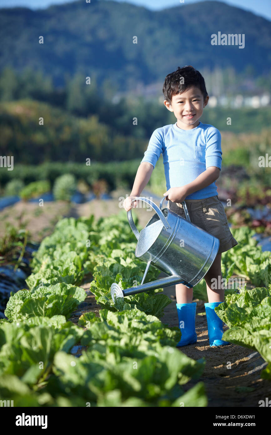 a boy watering crops Stock Photo - Alamy