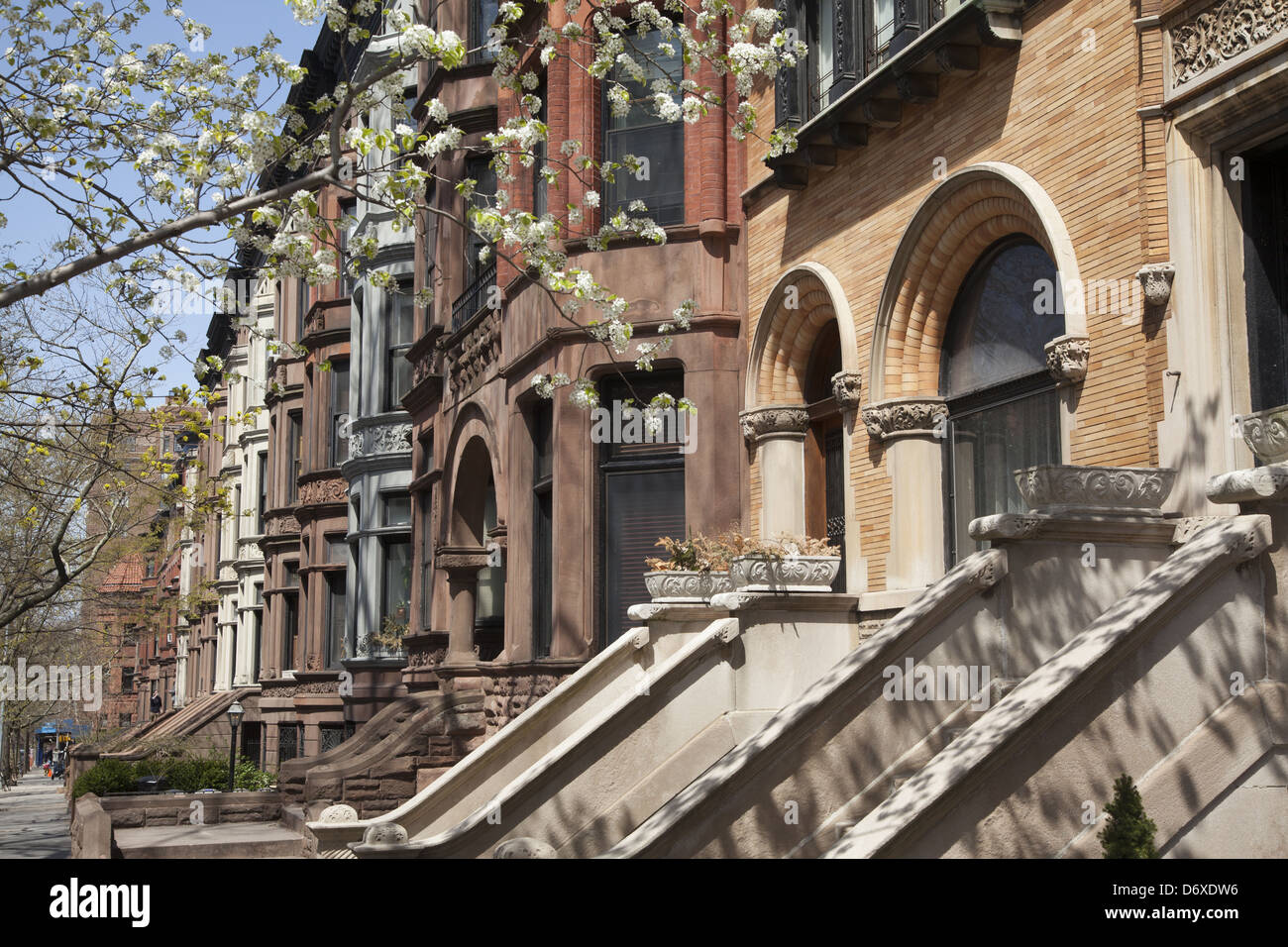 Brownstones in Historic Park Slope Brooklyn, NY Stock Photo - Alamy