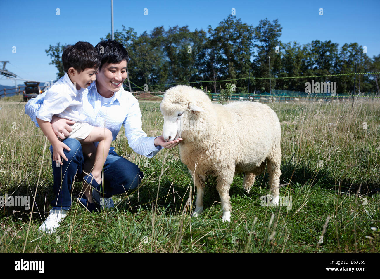 Man father son ranch hi-res stock photography and images - Alamy