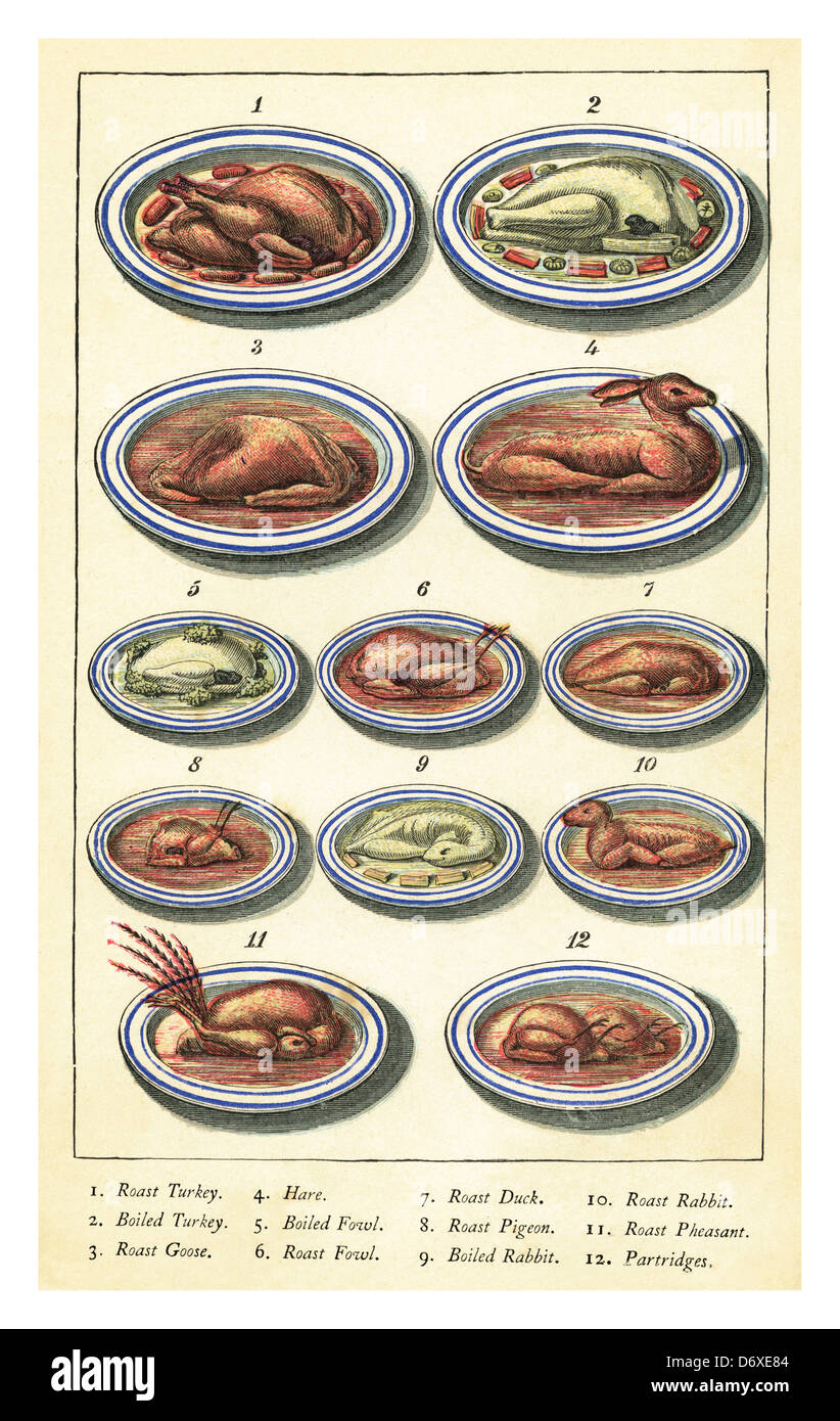POULTRY GAME FOWL VICTORIAN Warne's Model Cookery and Housekeeping Book ...