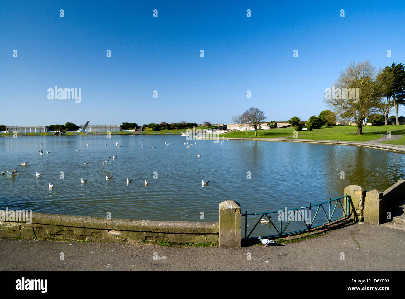 Barry Knap High Resolution Stock Photography and Images - Alamy