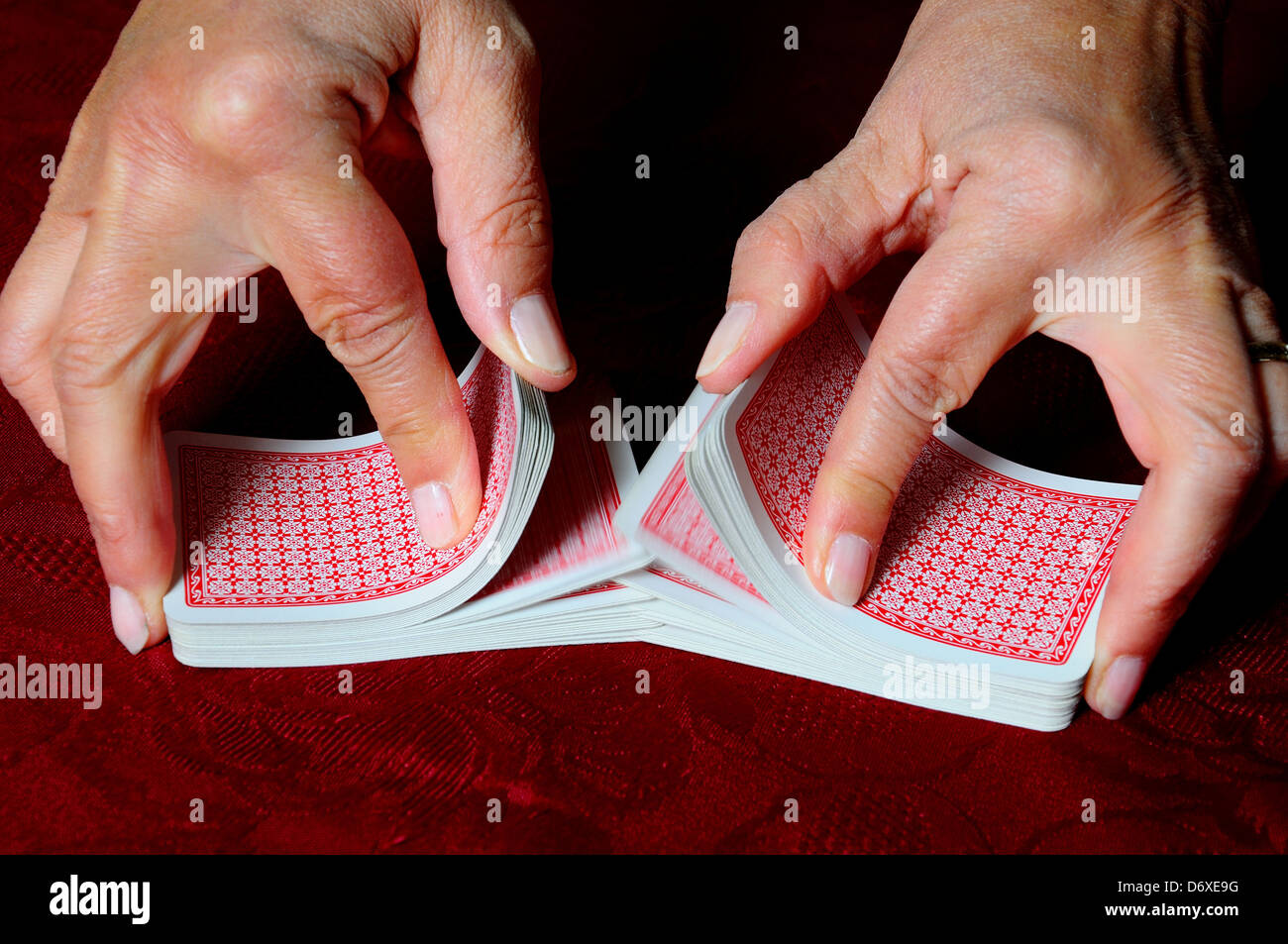 Woman riffle shuffling a pack of playing cards, England, UK, Western ...