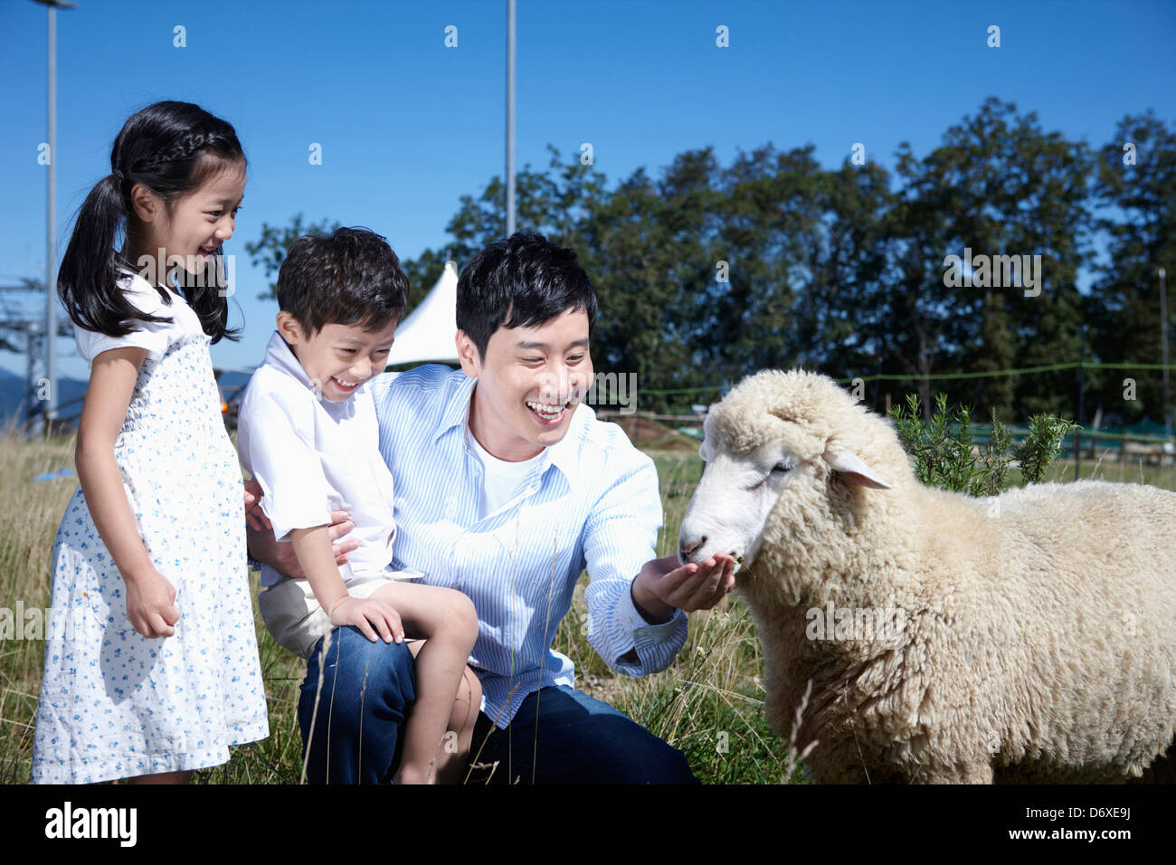 Father son feeding plant sheep hi-res stock photography and images - Alamy