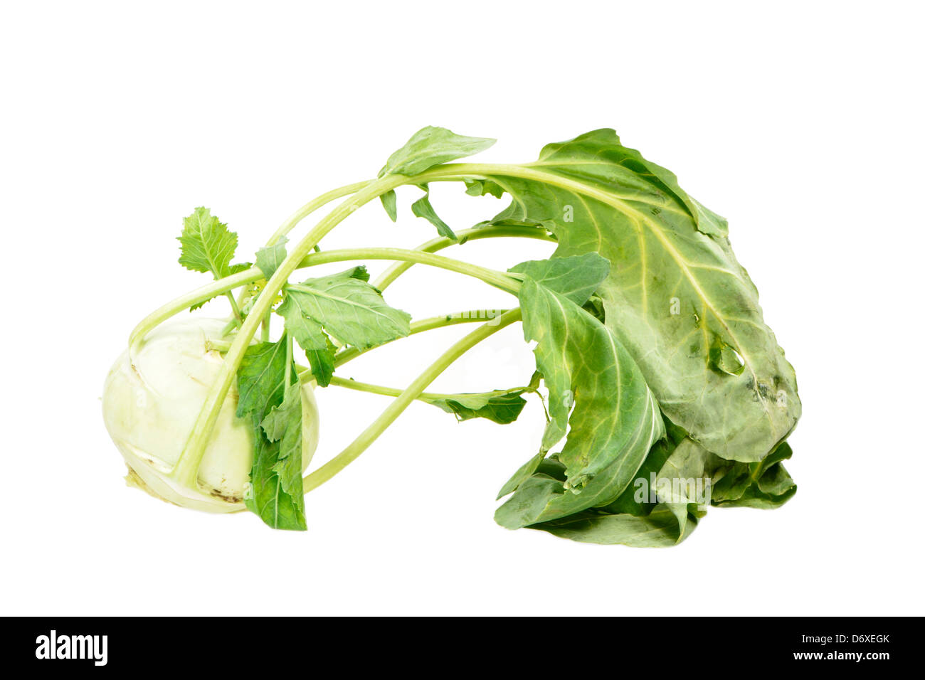 Turnip cabbage hi-res stock photography and images - Alamy