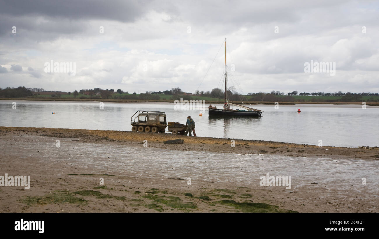 Yacht at moorings River Deben, Ramsholt, Suffolk, England Stock Photo ...