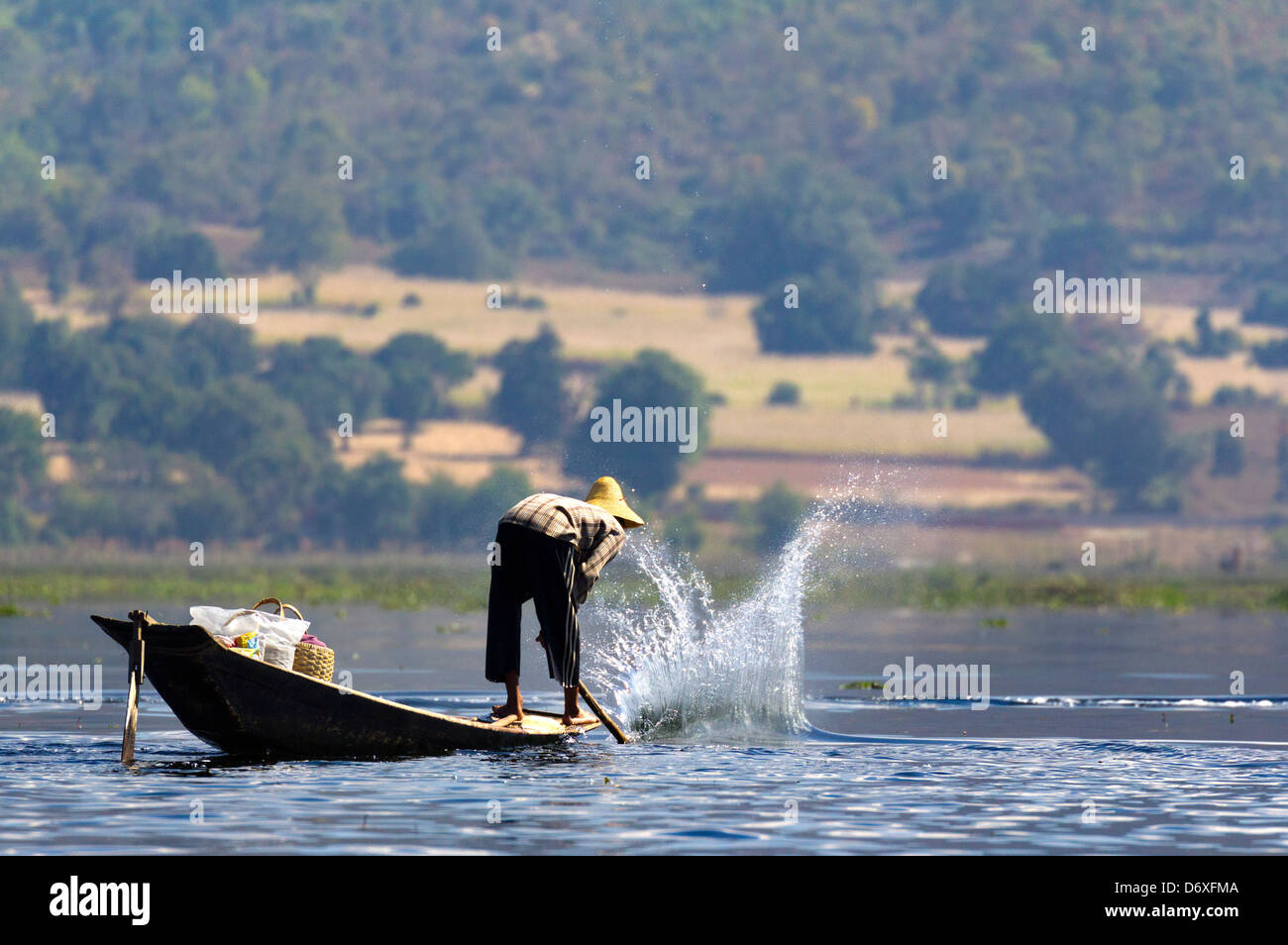 Freshwater fish of myanmar hi-res stock photography and images - Alamy