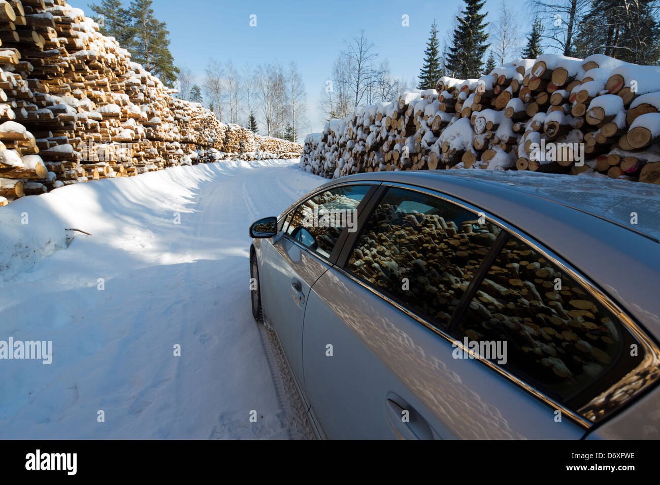 Car ( Toyota Avensis ) on logging road inventory piles of logs waiting ...