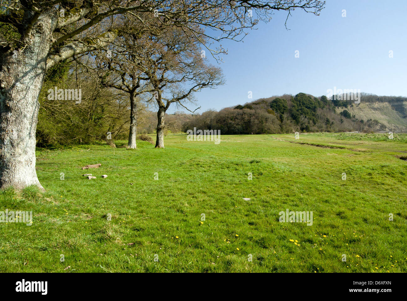 Porthkerry country park hi-res stock photography and images - Alamy