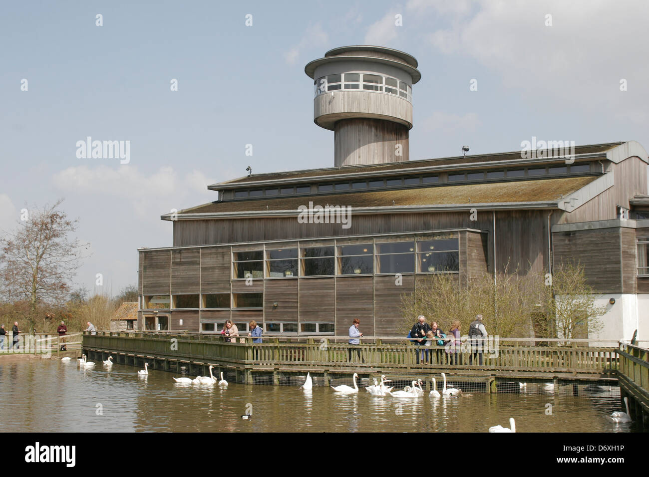 Slimbridge England High Resolution Stock Photography and Images - Alamy