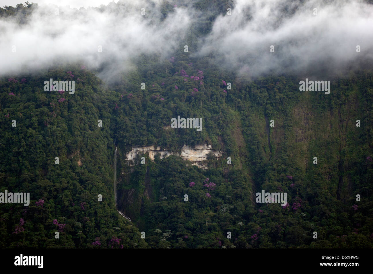 Waterfall on a vertical cliff in rainforest in the Amazonian foothills ...