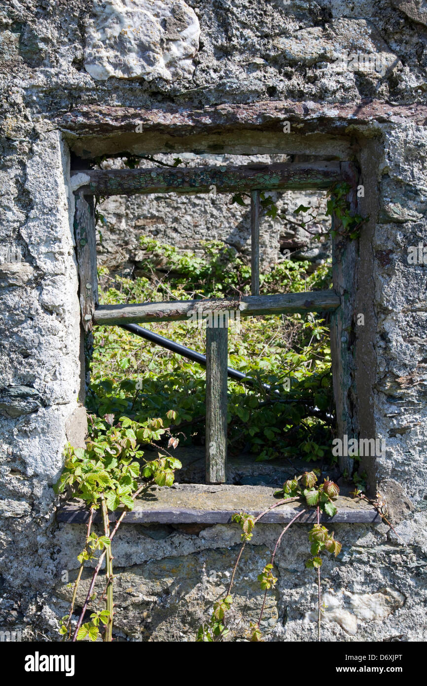 Rotting window frame in old ruined farm house Stock Photo - Alamy