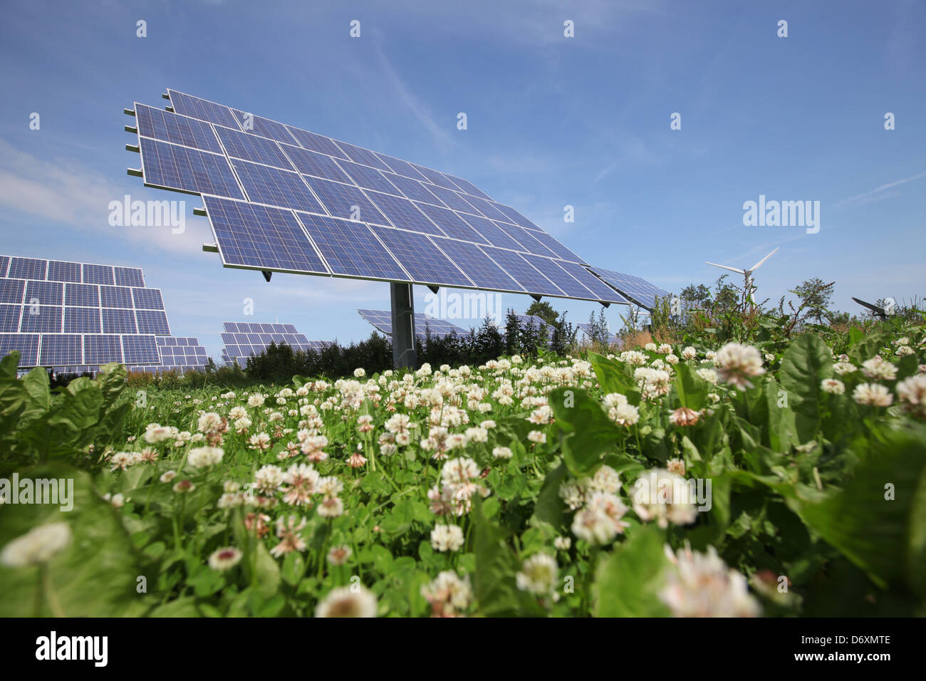 Nordhackstedt, Germany, solar farm consisting of tracking systems Stock ...