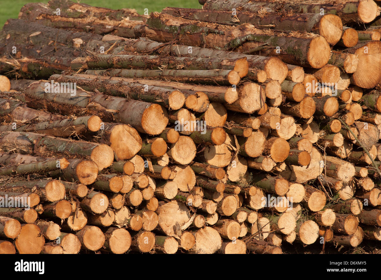 Stack of wooden logs Stock Photo - Alamy