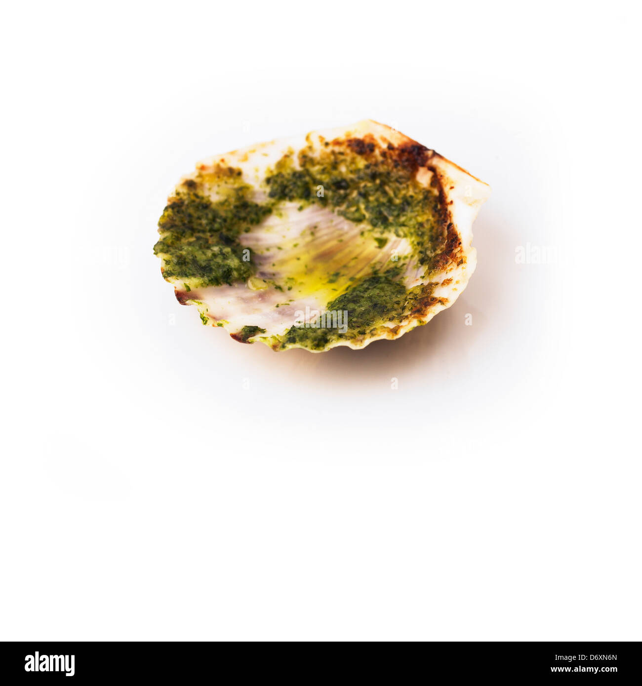 Scallop in garlic butter and parsley, empty shell, white background ...