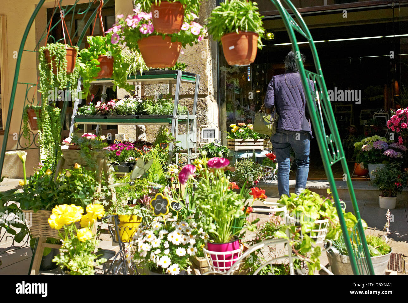 -Flowers in the Street Stock Photo - Alamy