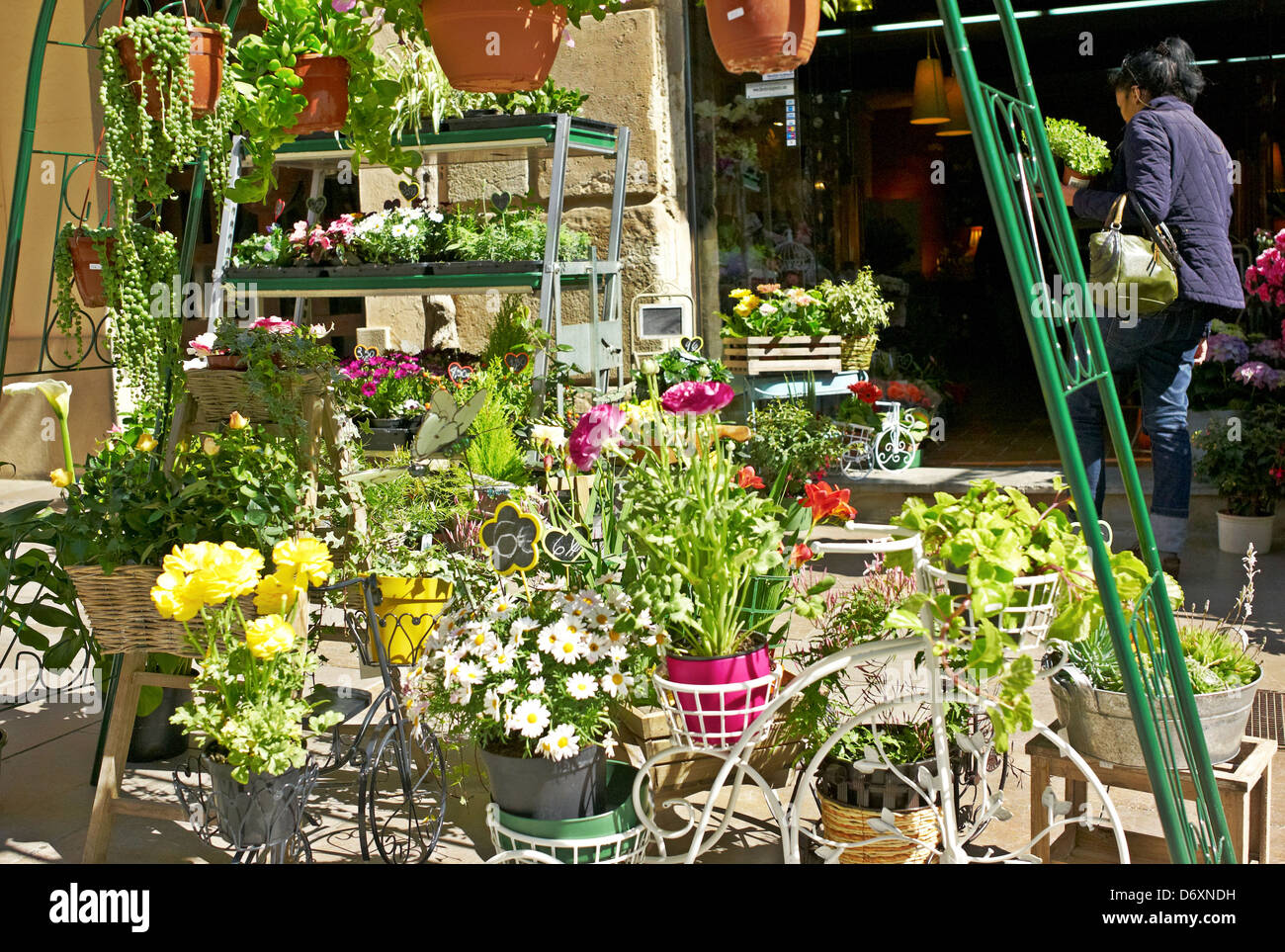 -Flowers in the Street Stock Photo - Alamy
