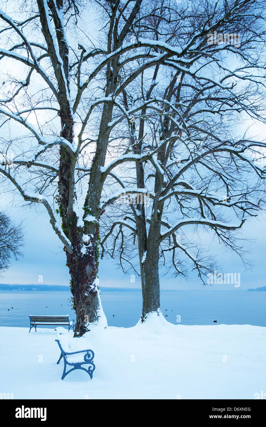 An image of a nice winter tree Stock Photo - Alamy