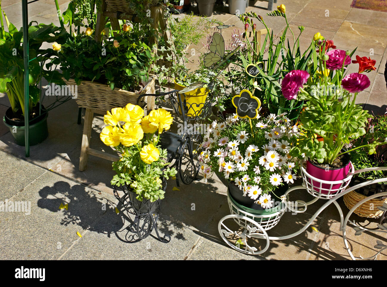 -Flowers in the Street Stock Photo - Alamy