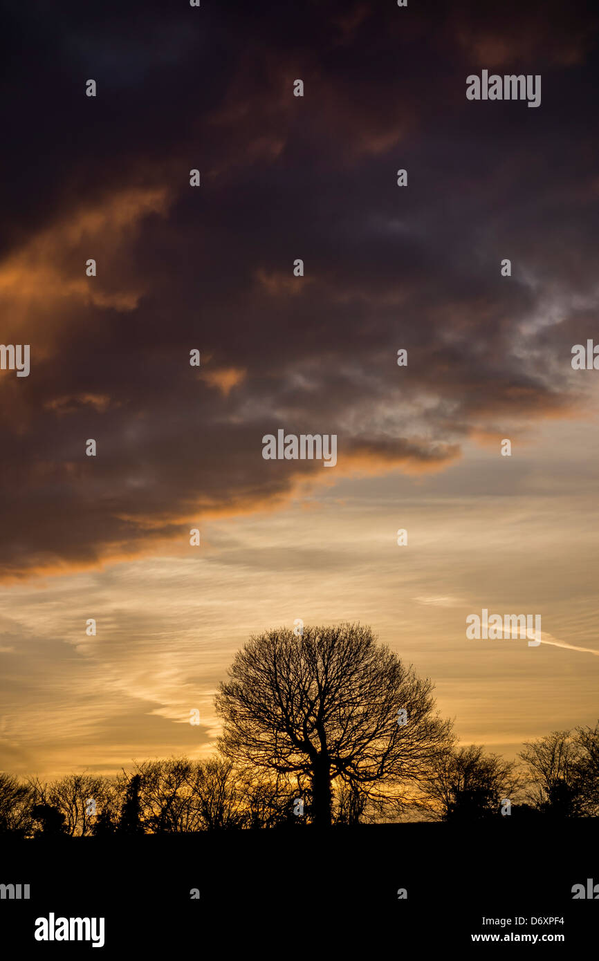 Creative sunset hi-res stock photography and images - Alamy