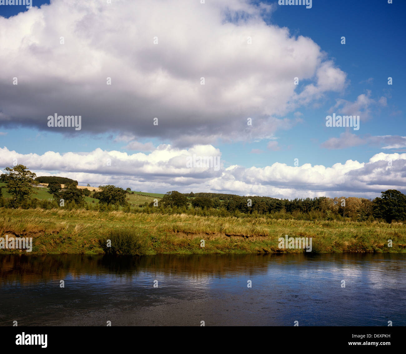 The River Ure flowing through the lower part of Wensleydale near to ...