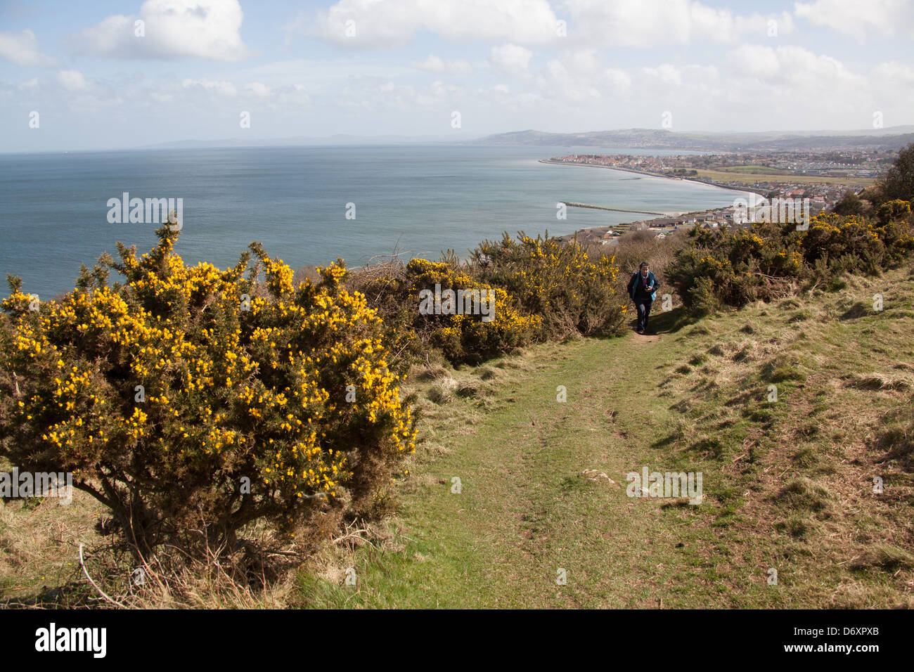 The Wales Coastal Path in North Wales. The eastern coastline of Little Orme, overlooking Angel ...