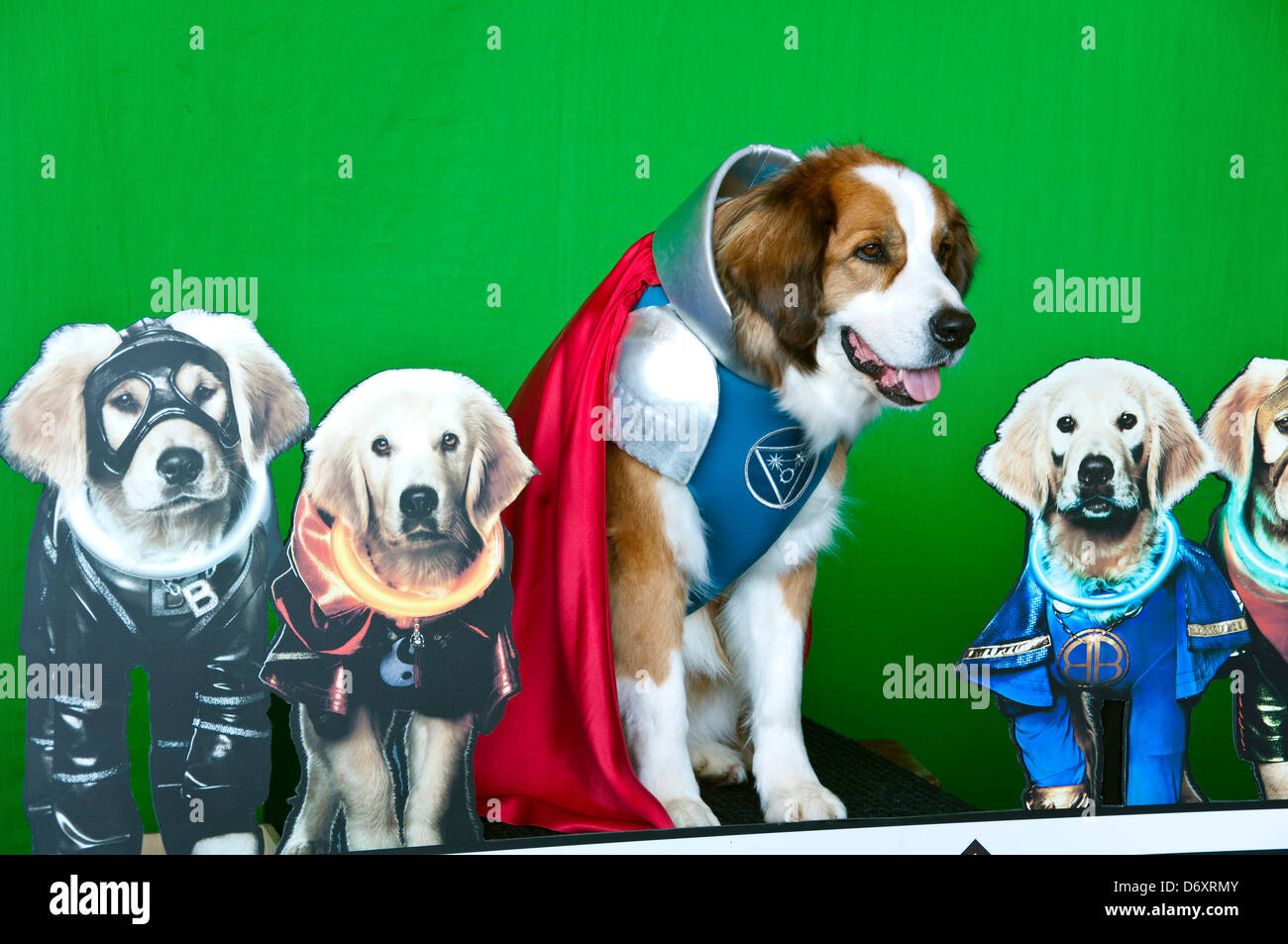 Buddies hi-res stock photography and images - Alamy