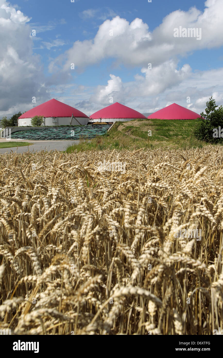 North beach, Germany, biogas plant on North beach Stock Photo - Alamy
