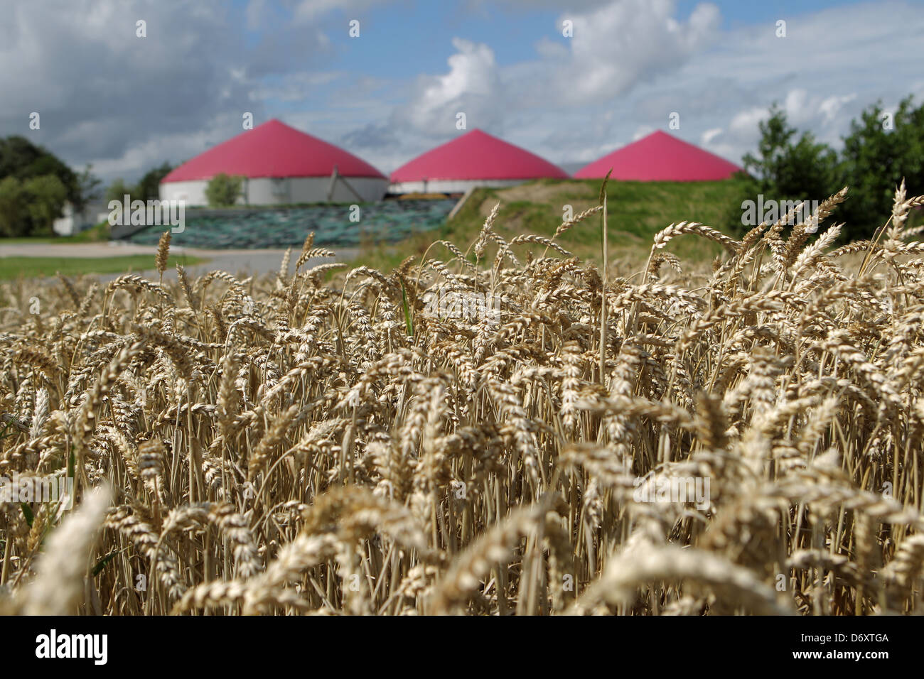 North beach, Germany, biogas plant on North beach Stock Photo - Alamy