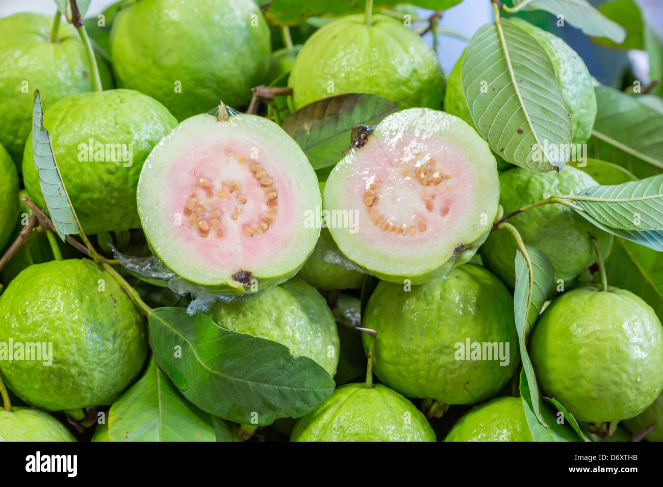 Thai native guava sale in market Stock Photo - Alamy