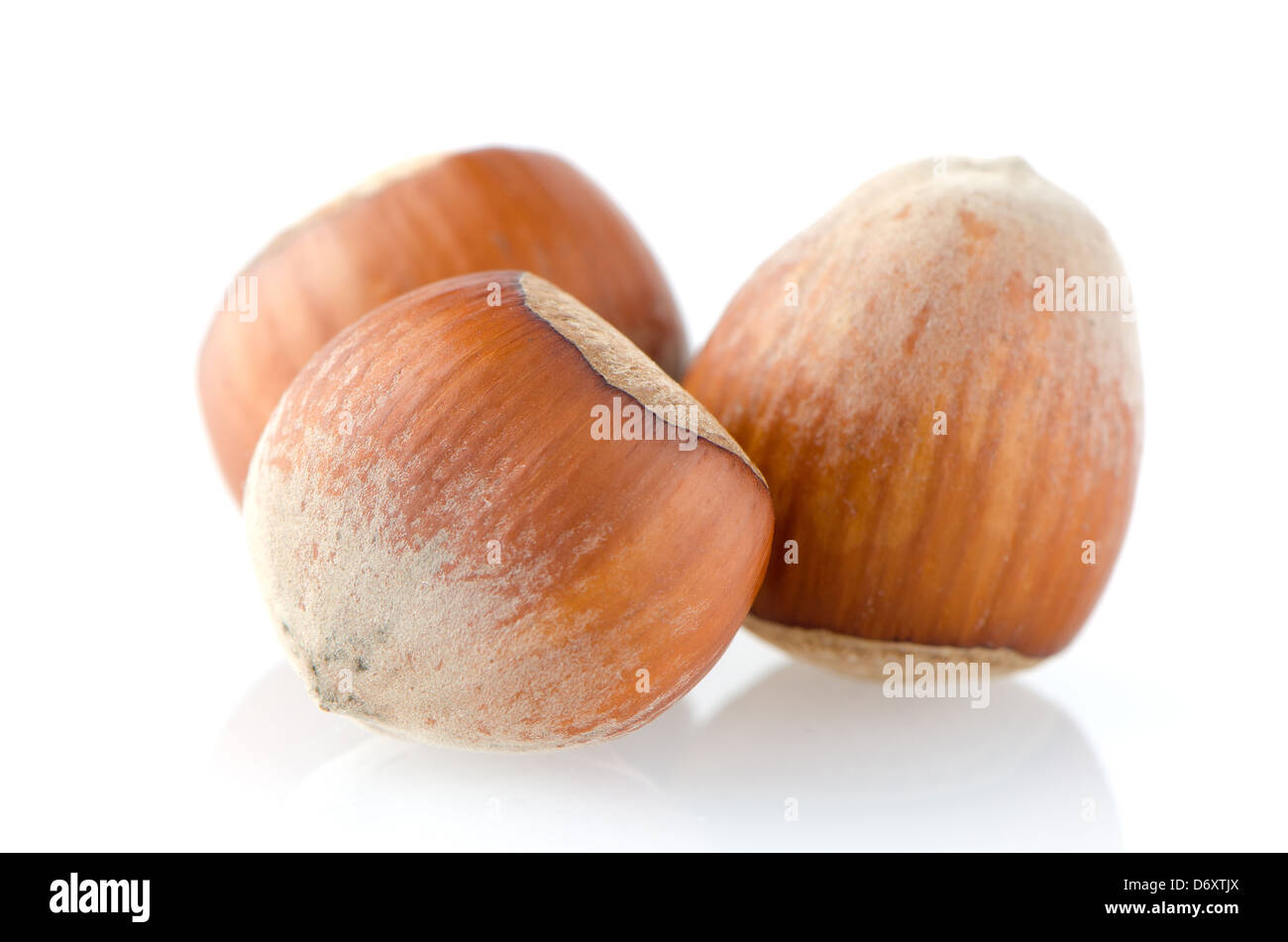 Three hazelnuts isolated on white background Stock Photo - Alamy