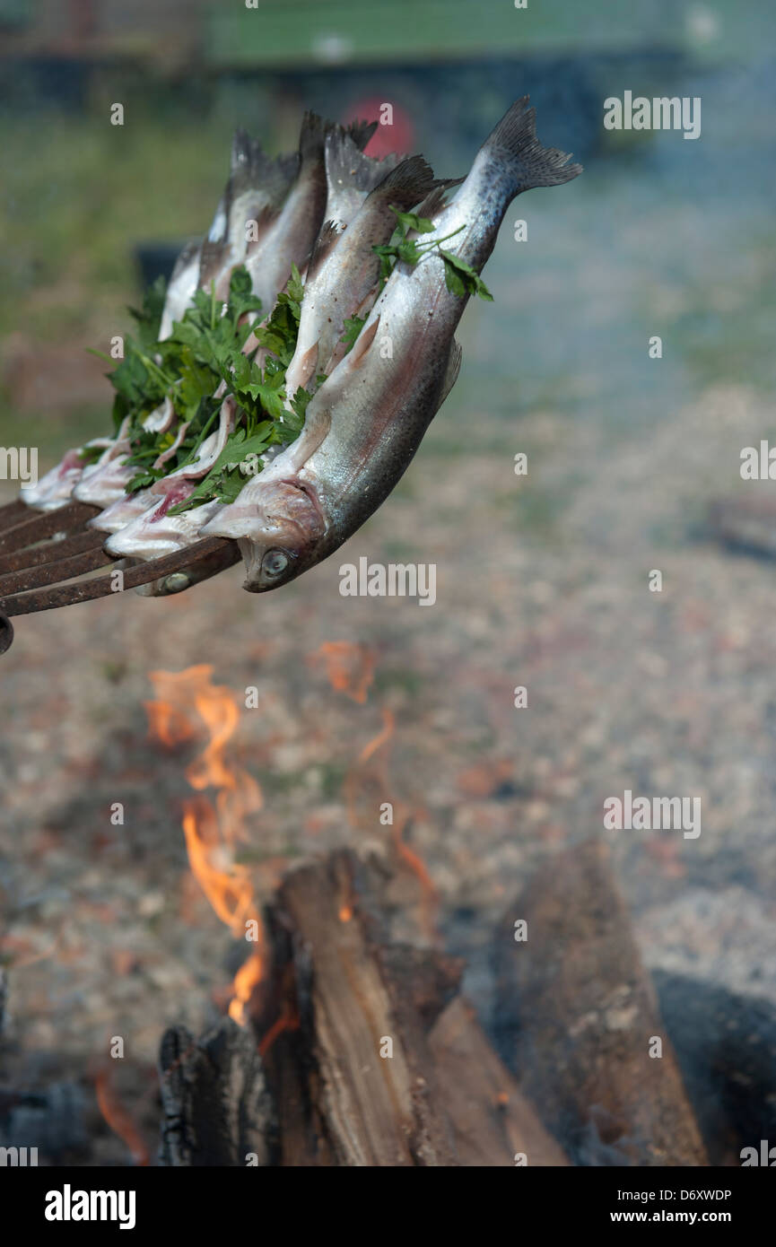 Freiburg, Germany, stuffed fish over a fire grill Stock Photo - Alamy