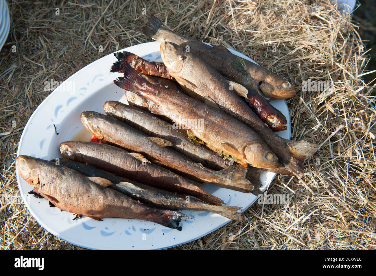 Freiburg, Germany, ready to eat, grilled fish Stock Photo - Alamy