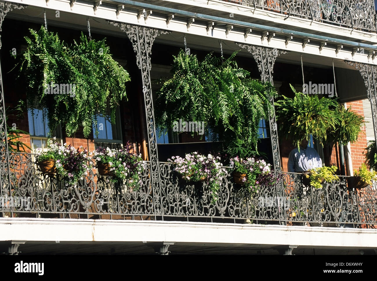 Elk283-1582 Louisiana, New Orleans, Pontalba Building, 1849 Stock Photo ...