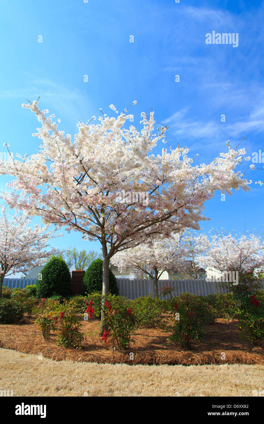 Suburban landscaping hi-res stock photography and images - Alamy