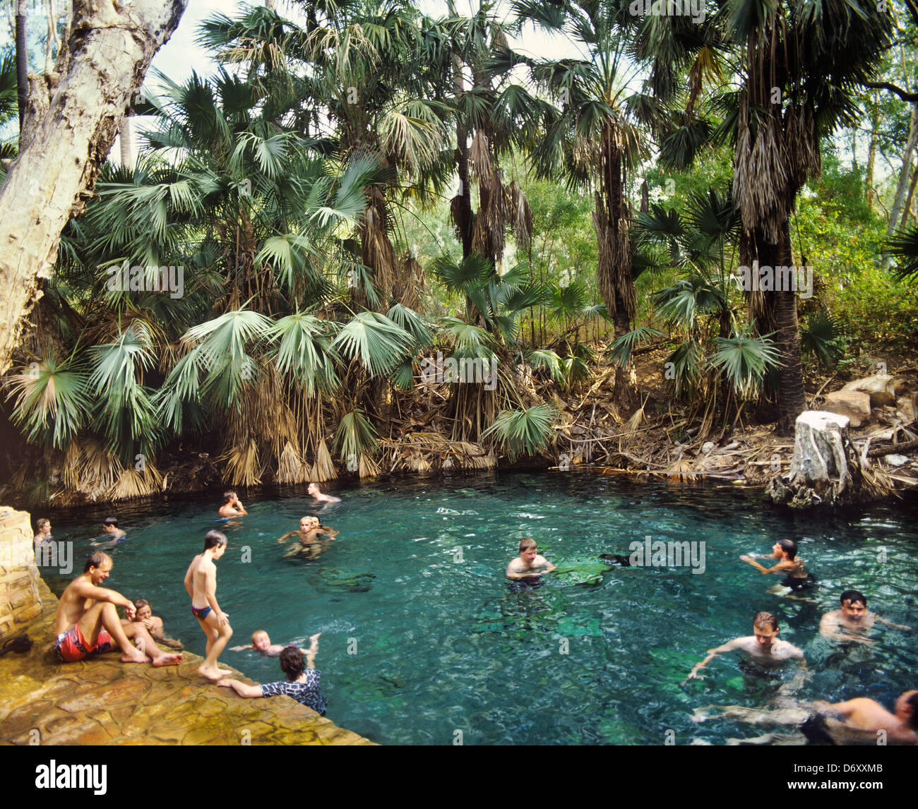 Australia, Northern Territory, Mataranka, palm fringed thermal pool ...