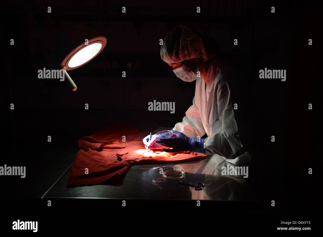 Police office crime scene hi-res stock photography and images - Alamy