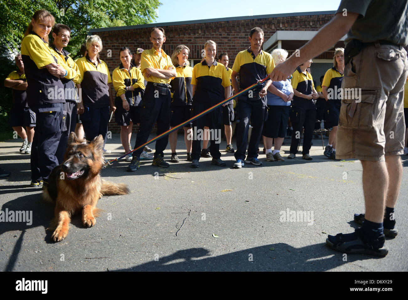 Berlin, Germany, at the workshop postman POSTMAN Dog Stock Photo - Alamy