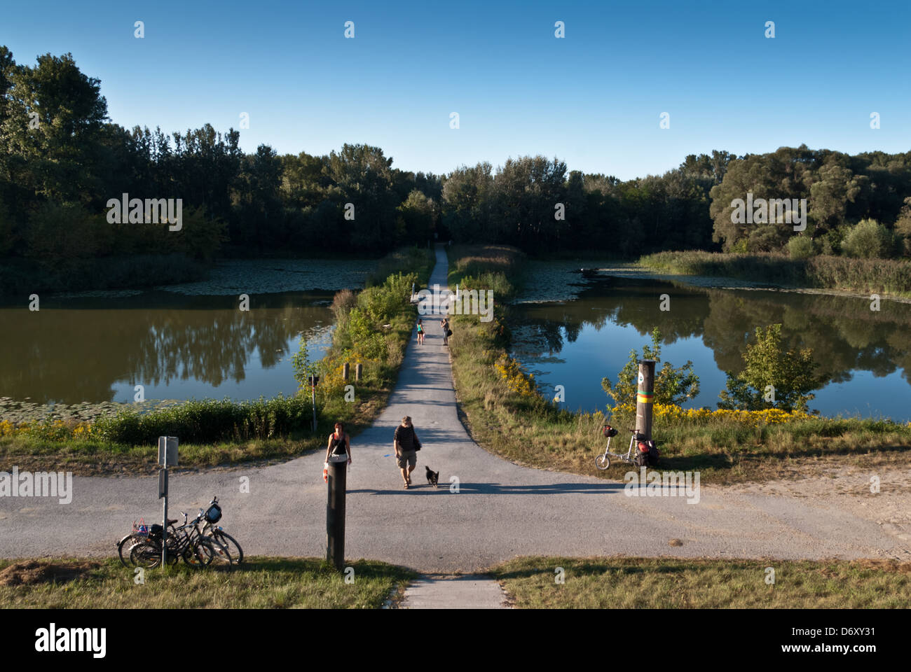 Donauradweg (Danube Cycle Path) between Vienna and Bratislava Stock ...