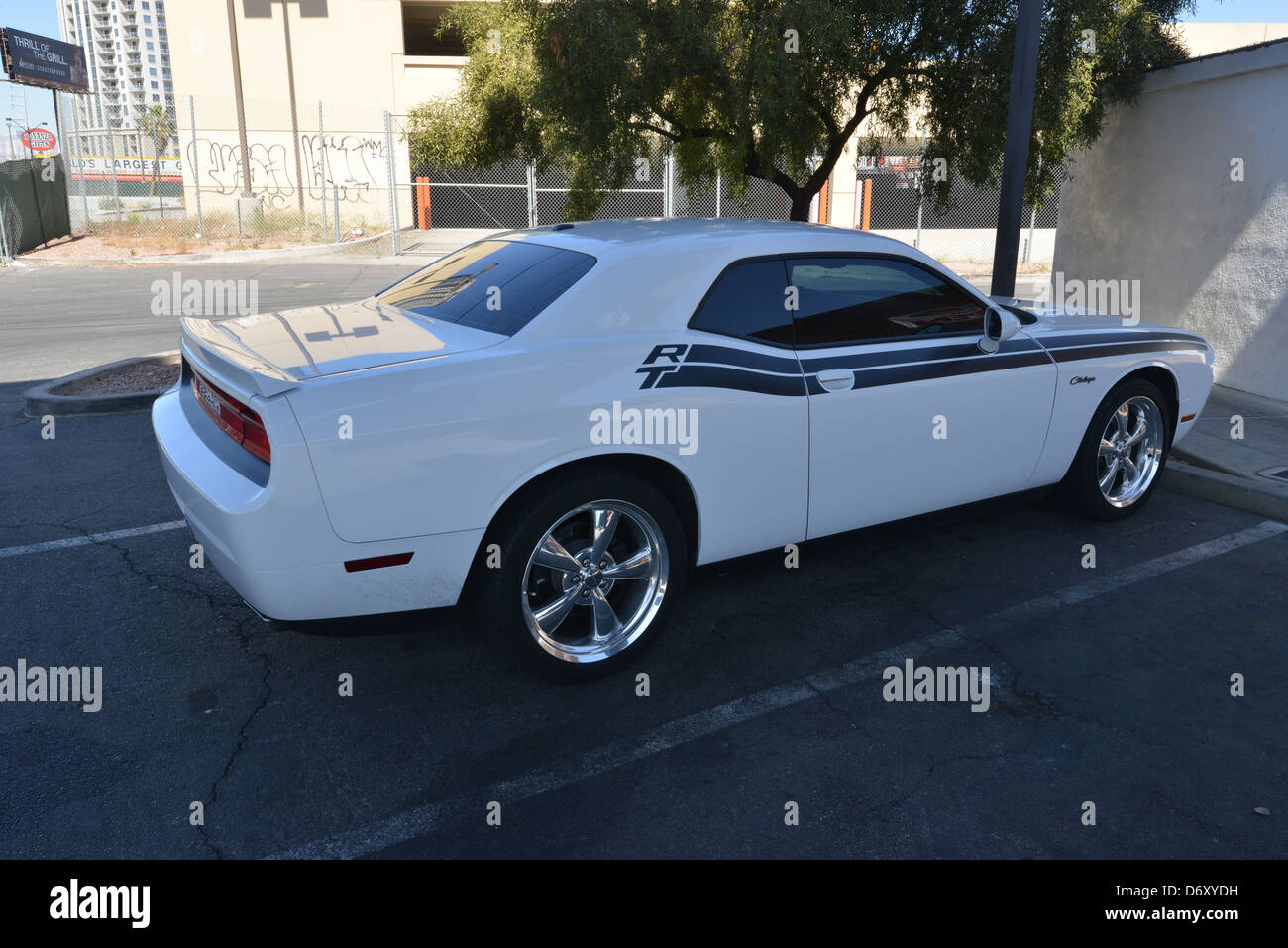A White Dodge Challenger parked in Las Vegas Stock Photo - Alamy