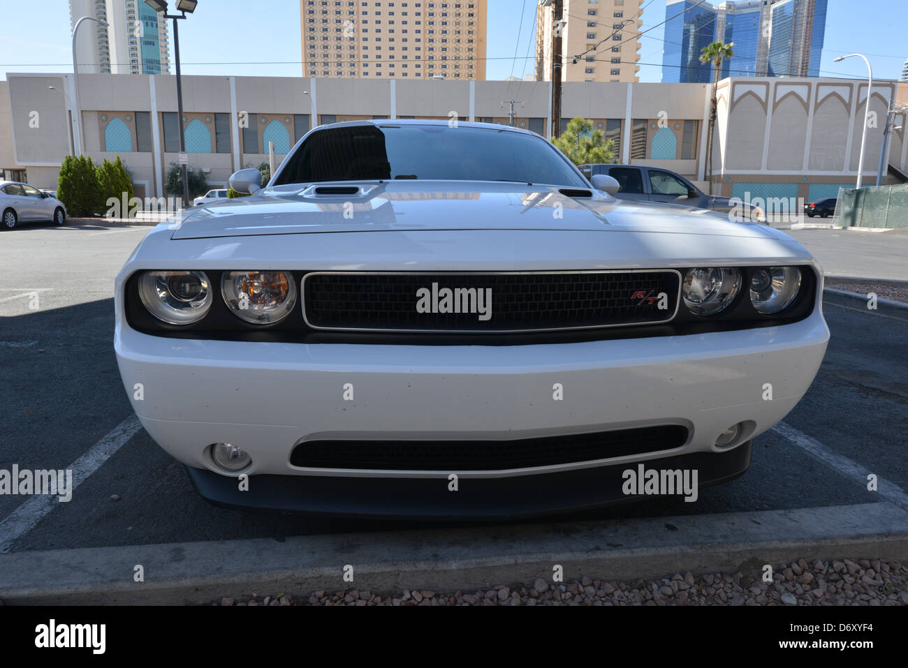 White dodge challenger hi-res stock photography and images - Alamy