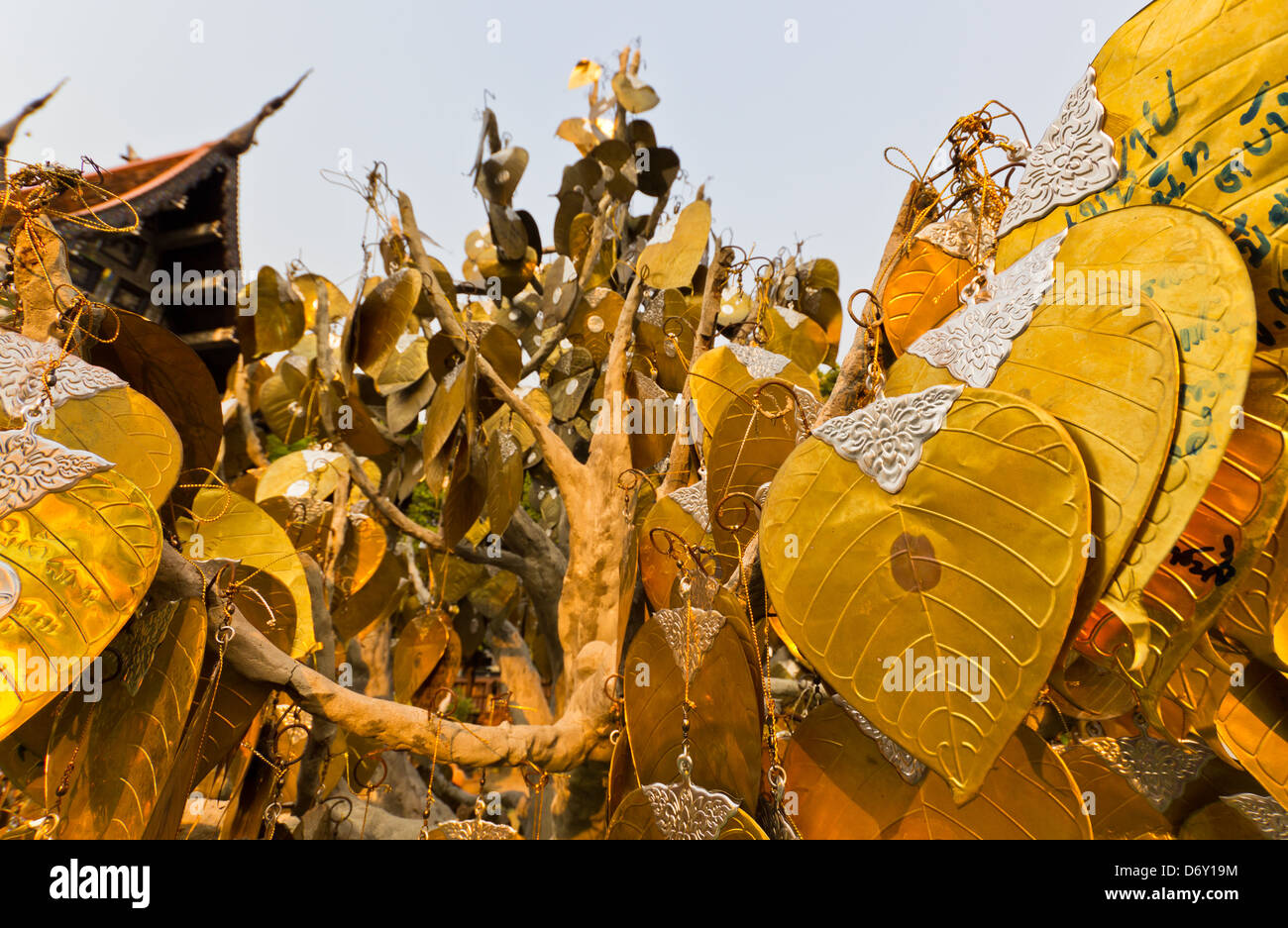 Gold Pipal Leaf on the Wishing Bodhi Tree in Wat Lok Molee, Thailand ...